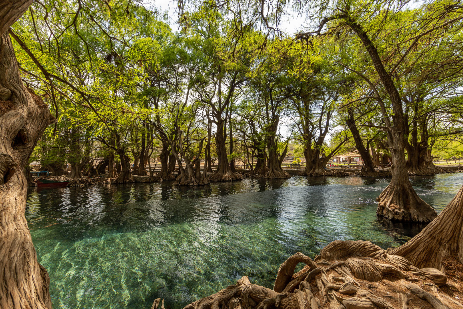 Lago De Camécuaro - Michoacán, El Alma De México | Visit Michoacan ...